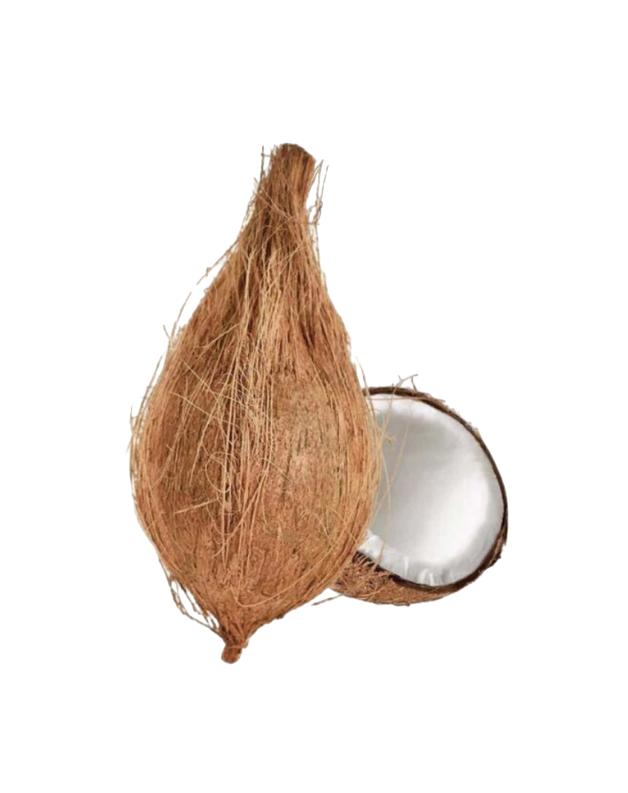 Fresh - Pooja - Coconut (India)- 1pc - Essential for Rituals